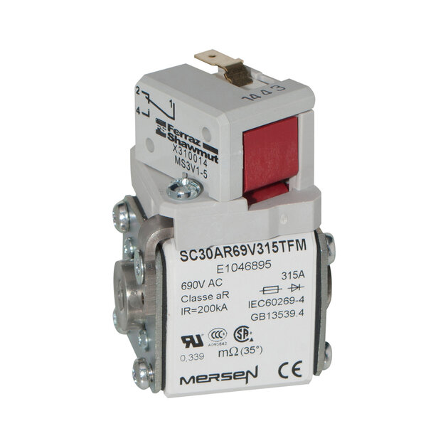 E1046895 - SC30AR69V315TFM Sicherungen | Mersen